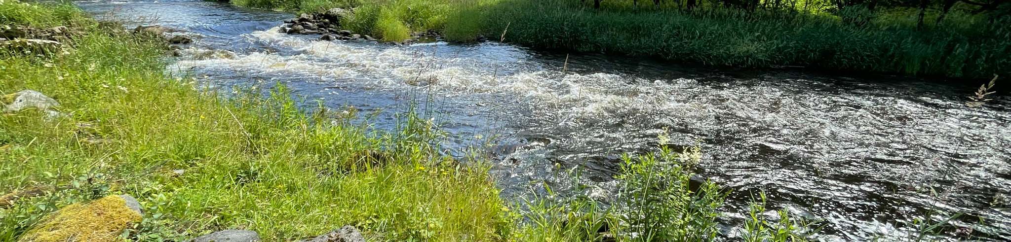 The Pools of the Bottom Beat ('C') - Smithston Fishings Club