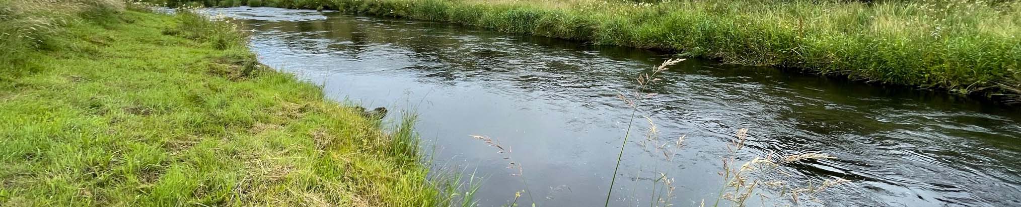 Life Cycle of the Atlantic Salmon - Smithston Fishings Club