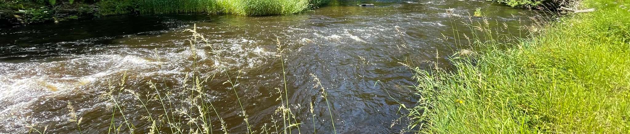 Beat Map (Printable) - Smithston Fishings Club